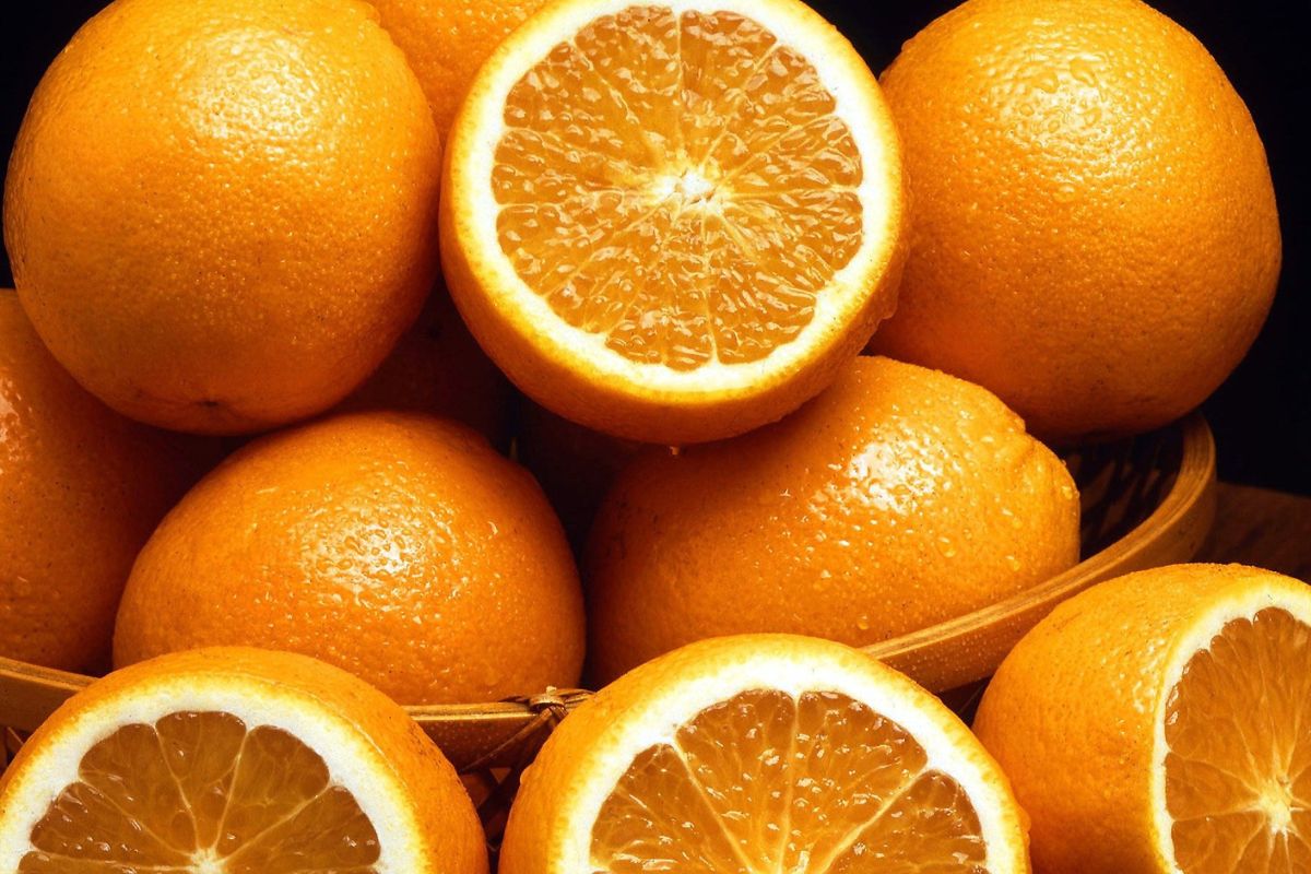 10 incríveis curiosidades sobre a laranja | EU SOU NATUREZA