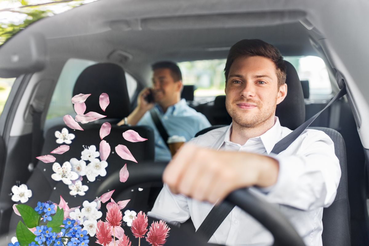 7 Dicas Infalíveis para Deixar Seu Carro Sempre Cheiroso | EU SOU NATUREZA